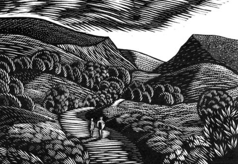 Wild Service: Why Nature Needs You